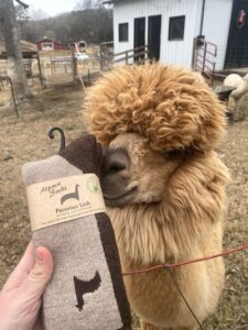 How To Visit The Adorable Rosie Mae's Alpaca Farm - Hope Maum